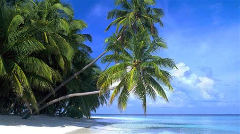 Aruba Windows Wallpapers 4k Hd Backgrounds On Wallpaperbat