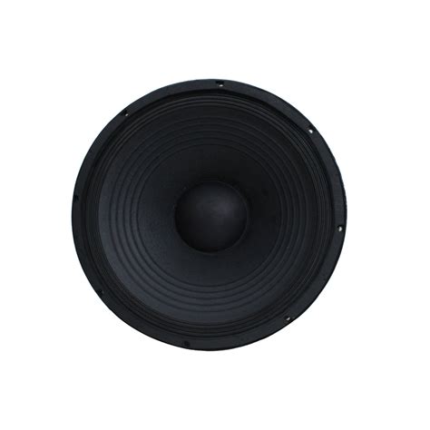 PA Naked Speakers Rotania Manufacturer Exporter