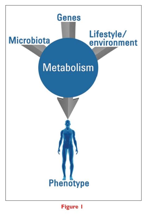 Metabolomics A Playbook For Functional Genomics Drug Discovery World DDW