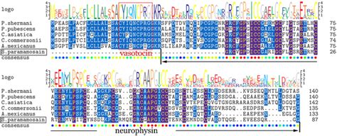 Comparative Sequence Alignment Of Vasotocin Neurophysin In Different