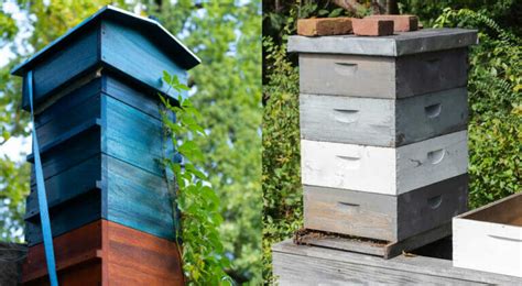 9 Types Of Beehives Pros And Cons Bee Professor