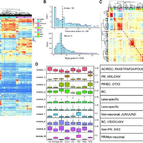 Inference Of TF Activity And Annotation Of TF Modules A Heatmap Download Scientific Diagram