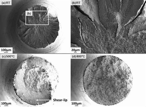 13 Sem Micrographs Revealing Fracture Surface Of The Tm State Download Scientific Diagram