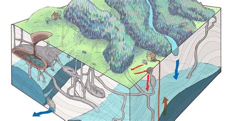 Geochemistry And Water Quality Of Karst Hydrosystems