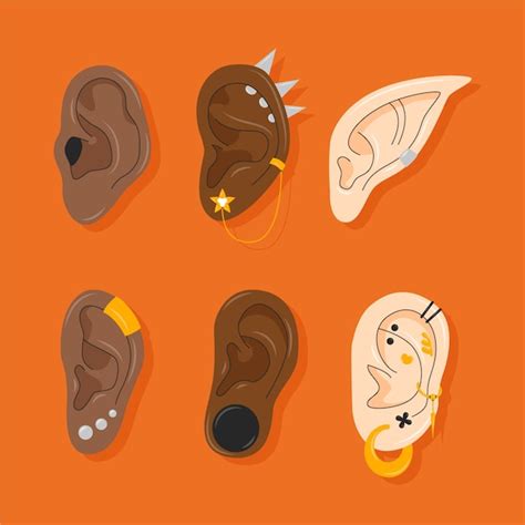 Ear Parts Images Free Download On Freepik