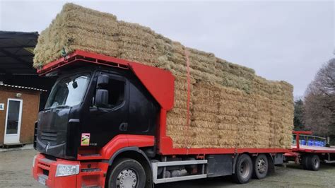 Sofiane Benaroussi Sengage Auprès De Lassociation Au Delà Des Pistes France Sire