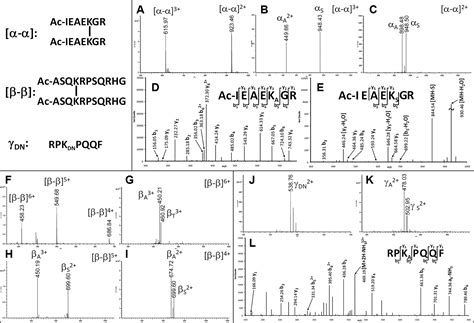 Development Of A Novel Cross Linking Strategy For Fast And Accurate Identification Of Cross