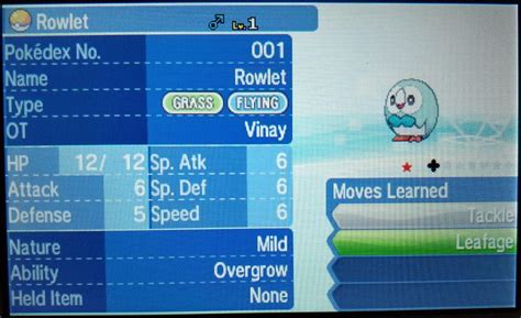 [7] Shiny Rowlet On The First Egg Wasnt Even Hunting For A Shiny R Shinypokemon