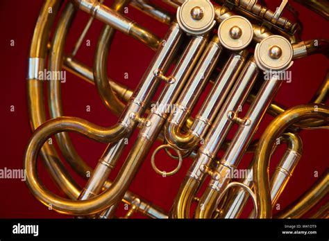 Examples Of Instrument In Brass At Craig Alston Blog