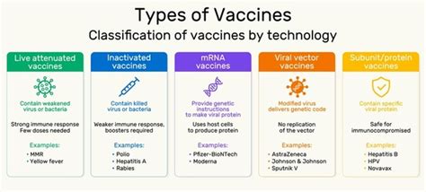 Attenuated Live Vaccine Over 31 Royalty Free Licensable Stock