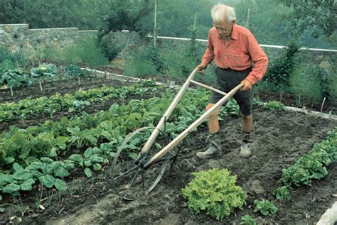 Nearing Enough Simple Living Lessons Mother Earth News