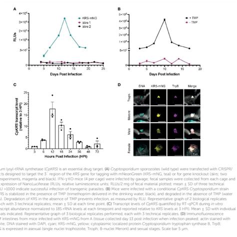 Thermal Proteome Profiling Tpp Determines That Cpkrs Is The Target Of Download Scientific