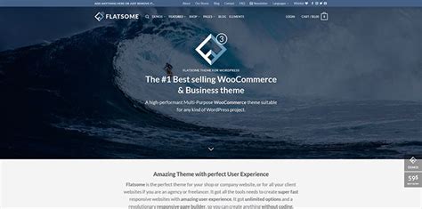 5 Best Premium Ecommerce Wordpress Themes Based On Woocommerce Themeskills
