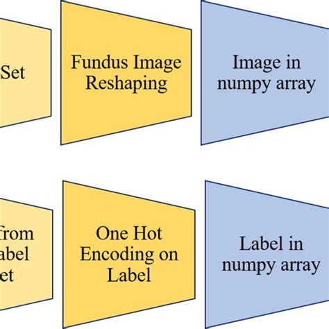 dataset pre processing before training the neural network download