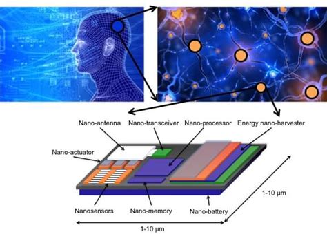 Eager Towards High Throughput Nanophotonic Brain Machine Interfaces