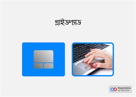 ইনপুট ডিভাইস কি এবং বিভিন্ন প্রকার ইনপুট ডিভাইস Blog Academy