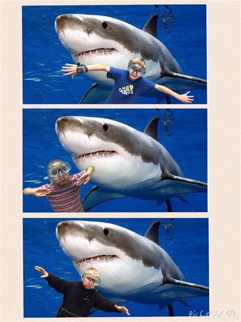 Pin By Jackie Densford On Stem Greenscreen Digital Storytelling