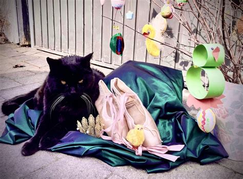 Hope Everyone Is Having Has Had A Happy Easter My Cat Says Hello R