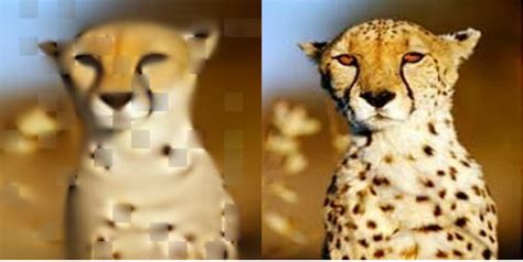 Paper Explained Masked Autoencoders Are Scalable Vision Learners Towards Data Science