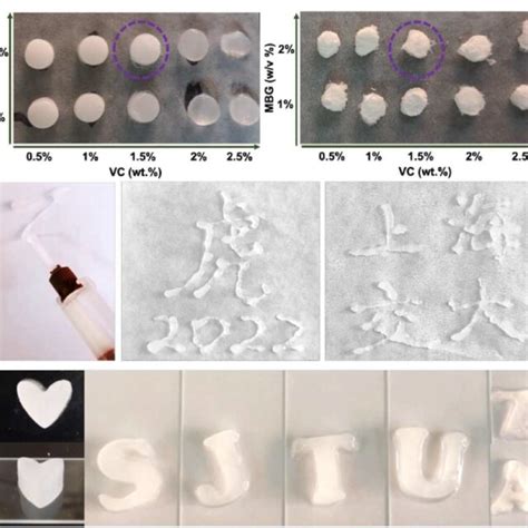 Preparation And Characterization Of Injectable Sms Hydrogel System A
