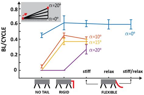 Locomotion On A Smooth Surface With No Tail Rigid Tail And Flexible Download Scientific