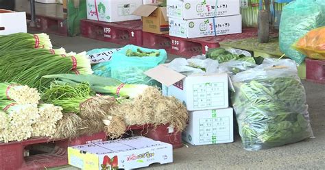 채소 쓰레기 사료로 재탄생농산부산물 자원화사업 주목