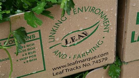 Leaf Marque Standards Commonshare