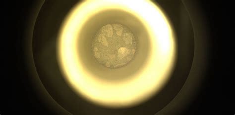 Vida En Marte Una Realidad Incómoda