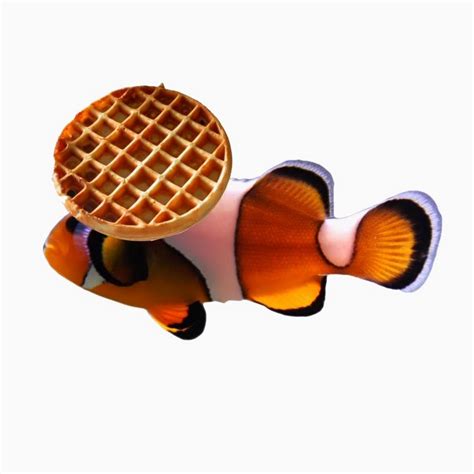 The Mad Eagle Youtube