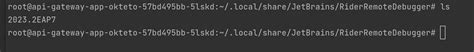 Cant Get Remote Debugging To Work With Jetbrains Rider How Do I