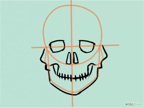 How To Draw A Skull With Pictures WikiHow Skull Drawing Bone Drawing Skulls Drawing