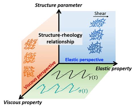 A 3d Schematic Of Structure Rheology Relationships Download Scientific Diagram