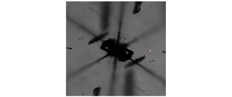 Prism Alignment Using A Point Source Microscope Optical Perspectives