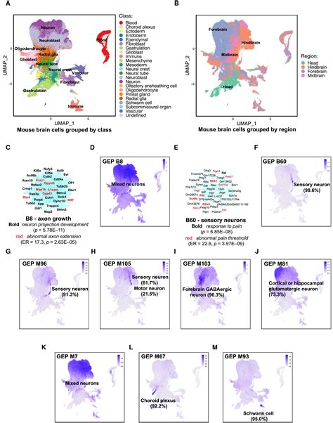 Singlecellggm Enables Gene Expression Program Identification From Single Cell Transcriptomes And