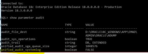 unified auditing in oracle 18c geodata master