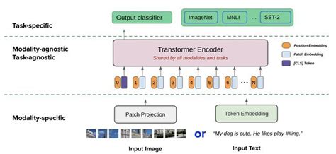 Towards A Unified Foundation Model Jointly Pre Training Transformers On Unpaired Images And
