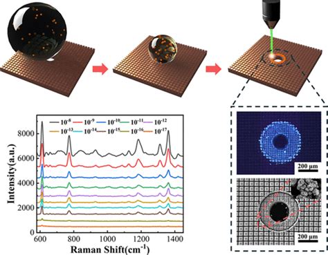 Extremely Sensitive Sers Sensors Based On A Femtosecond Laser
