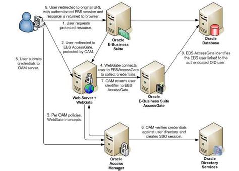 Overview Of Single Sign On Integration Options For Oracle E Business Suite