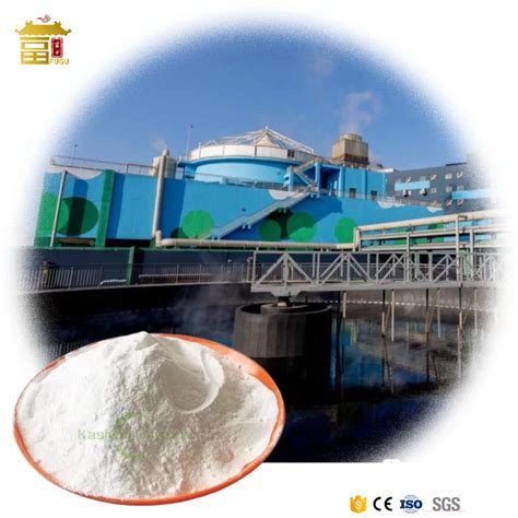 Microorganism Aerobic Enzyme Sewage Treatment Bacteria For Industry