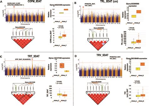 Application Of An Improved 2 Dimensional High Throughput Soybean Root