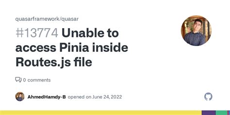 unable to access pinia inside routes js file · issue 13774