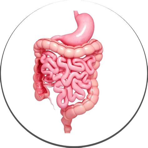 ამერიკული მწვანე აფთიაქი