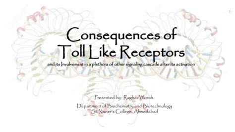 Toll Like Receptors In Periodontology Pptx Genetics Science