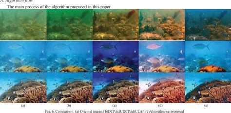 Figure 6 From A Fast Algorithm For Underwater Image Restoration Based