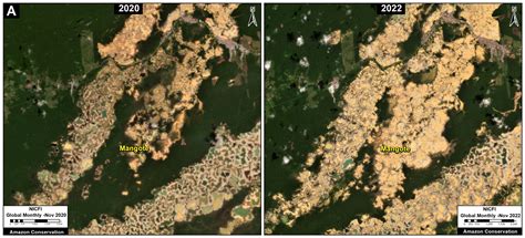 Maap 178 Gold Mining Deforestation Across The Amazon Maap