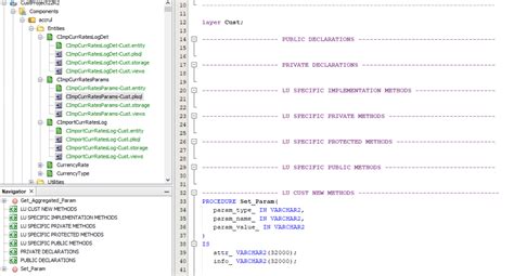About The Lu Cust New Methods Section Of The Custplsql File In