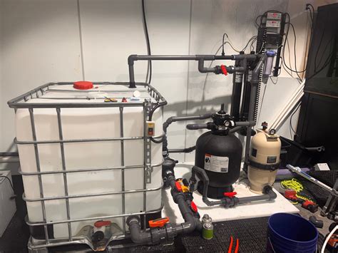 Store Picasso Exotics