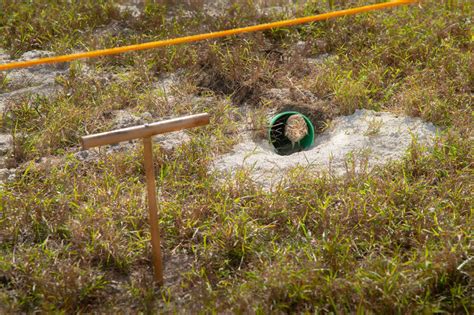 Project Perch Florida Burrowing Owl Conservation
