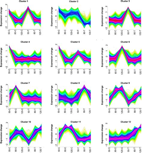 Frontiers Rna Seq Reveals The Key Pathways And Genes Involved In The