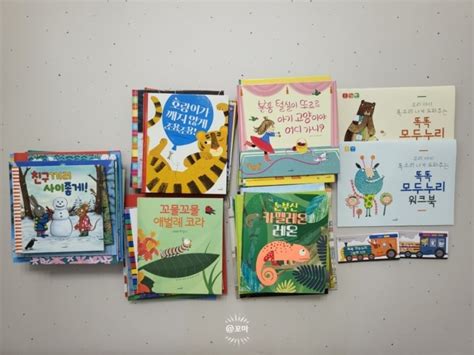4세 5세 책 추천 키즈스콜레 사파리 똑똑모두누리 구성 가격 네이버 블로그